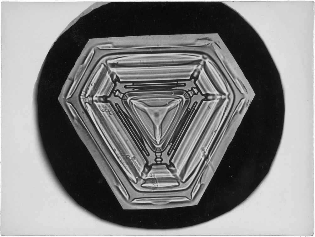 the snowflake man of vermont — the essay