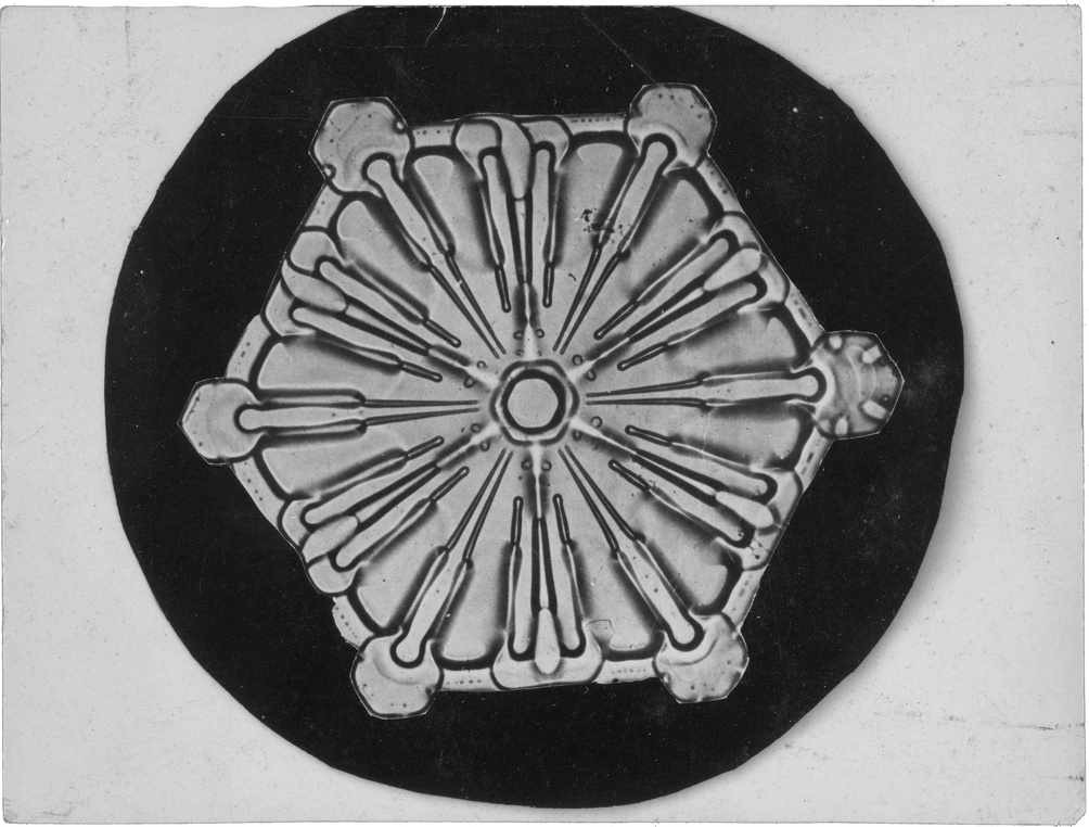 the snowflake man of vermont — the essay