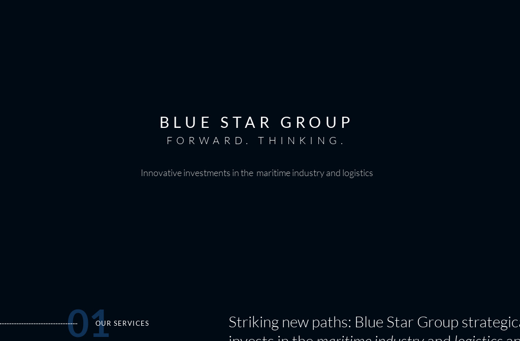 Blue Star Group EN — Main