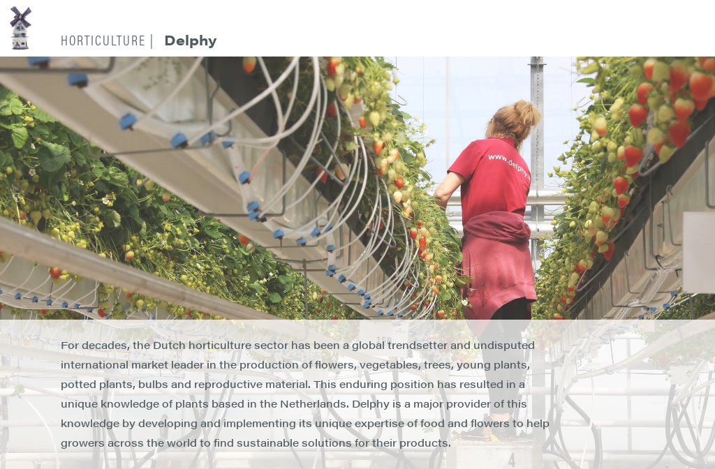 Dutch Industry — Delphy