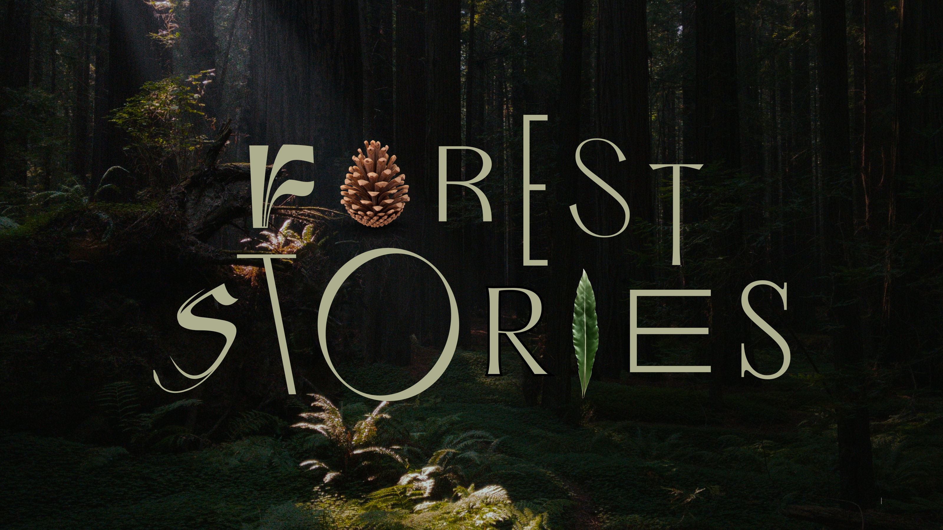 Forest Stories — Watch Movie