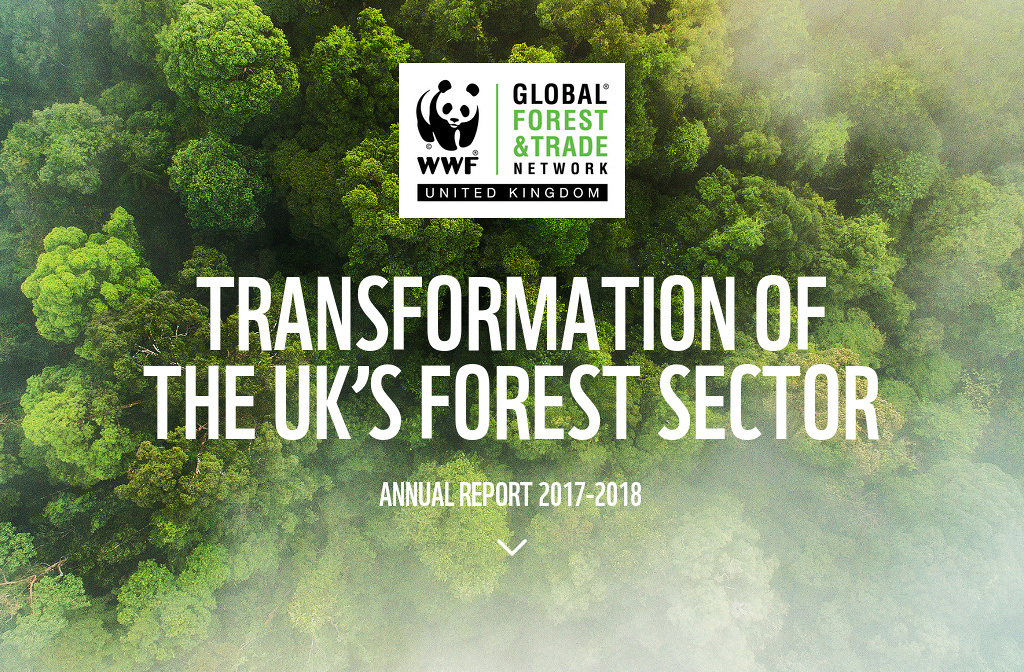 GFTN-UK Annual Report 2018