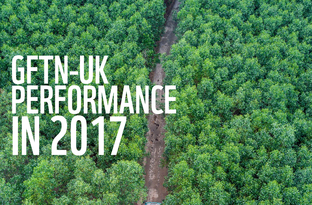 GFTN-UK Annual Report 2018 — Page 4