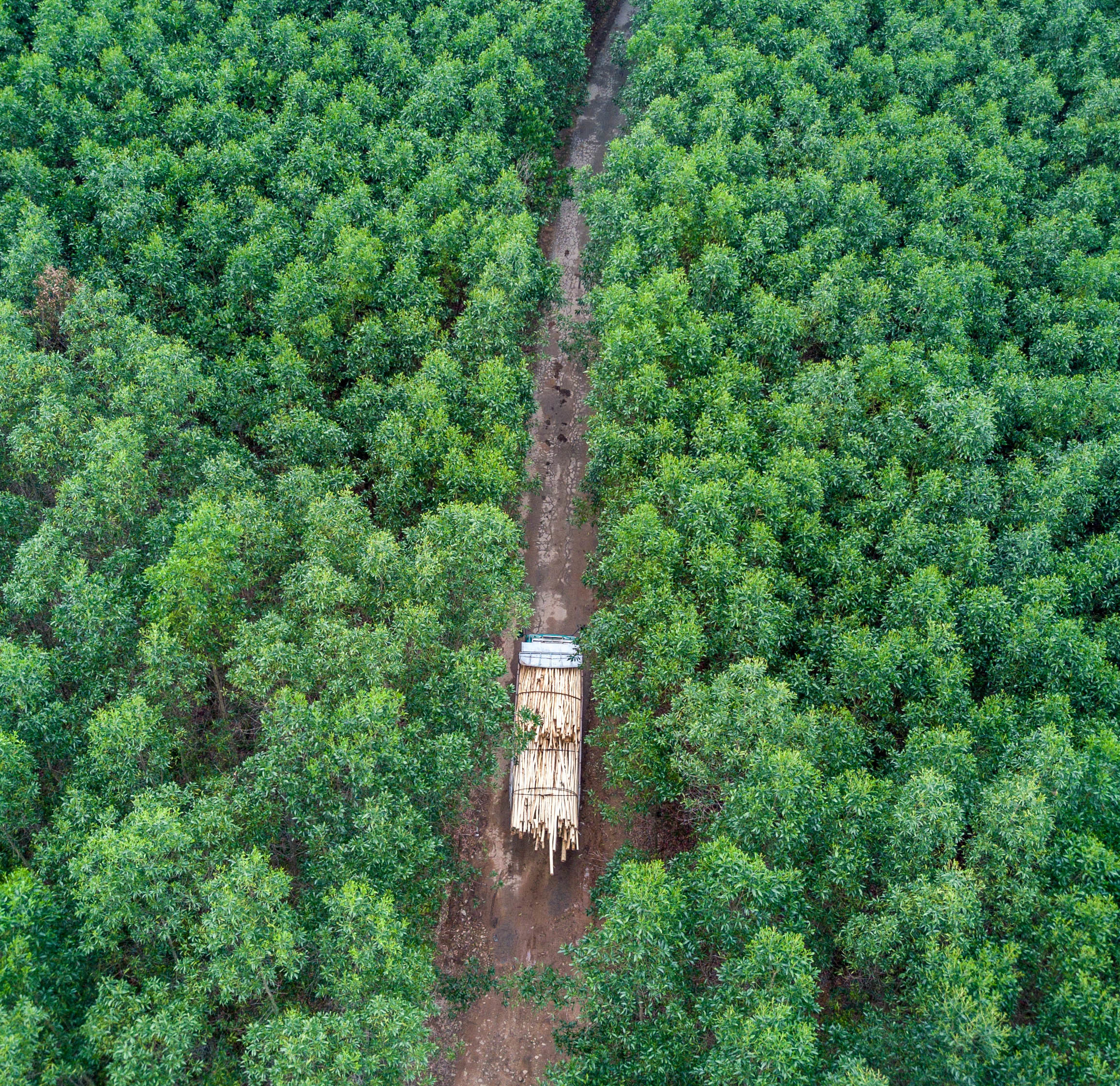 GFTN-UK Annual Report 2018 — Page 4