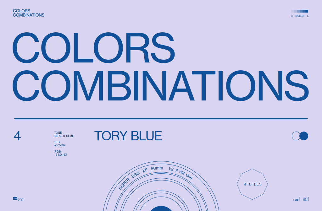 Colors Combinations — Tory Blue Combinations