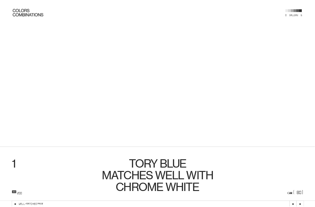 Colors Combinations — Tory Blue Info
