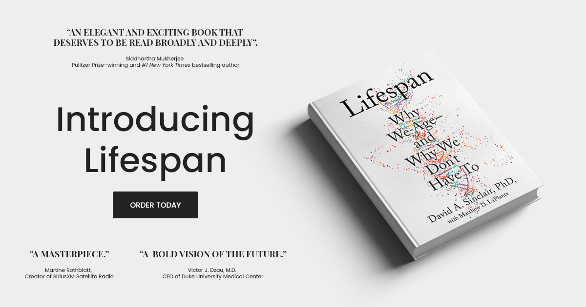 Lifespan Lifespan