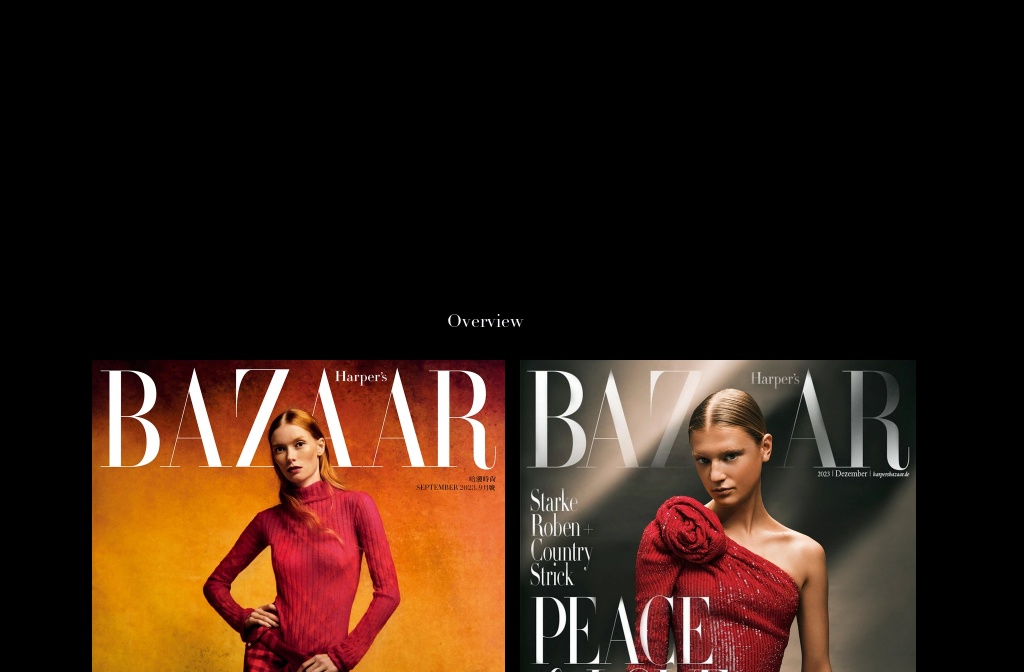 Dima Hohlov — Overview