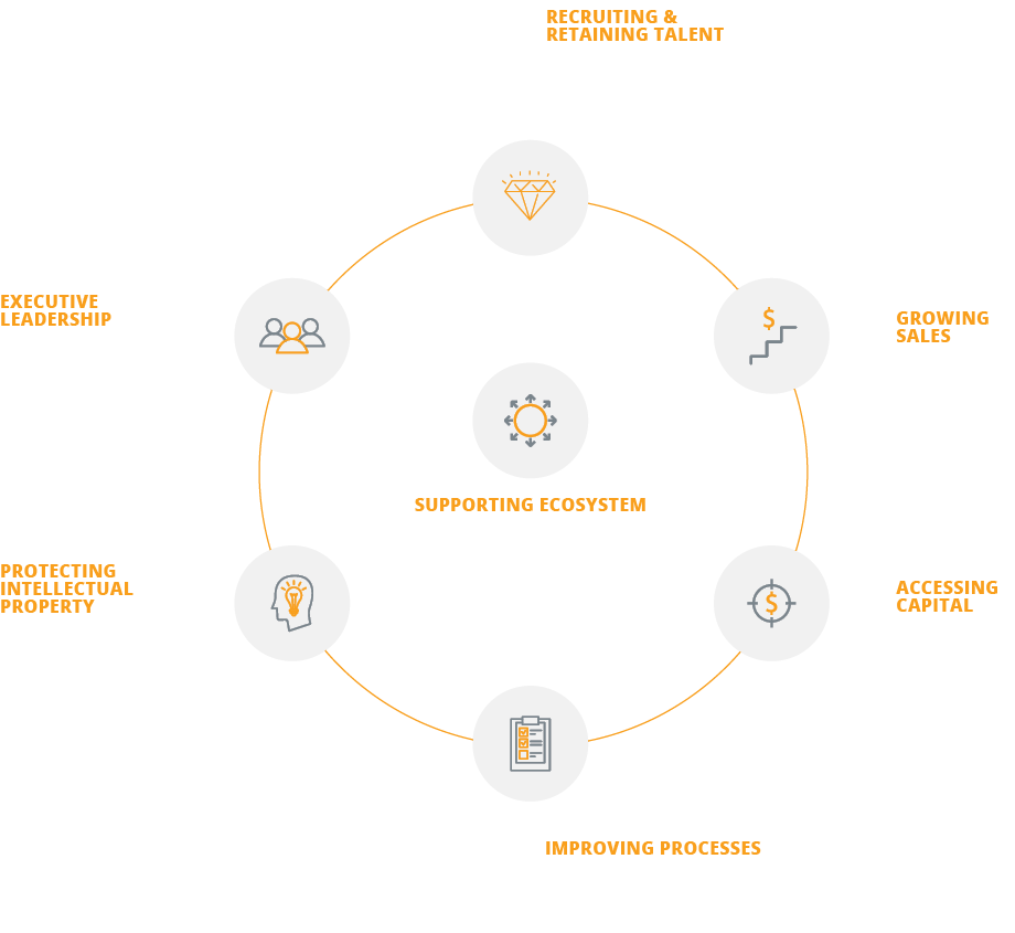 Scaleup Report Wtc T Toronto Region Board Of Trade Scaleup Success