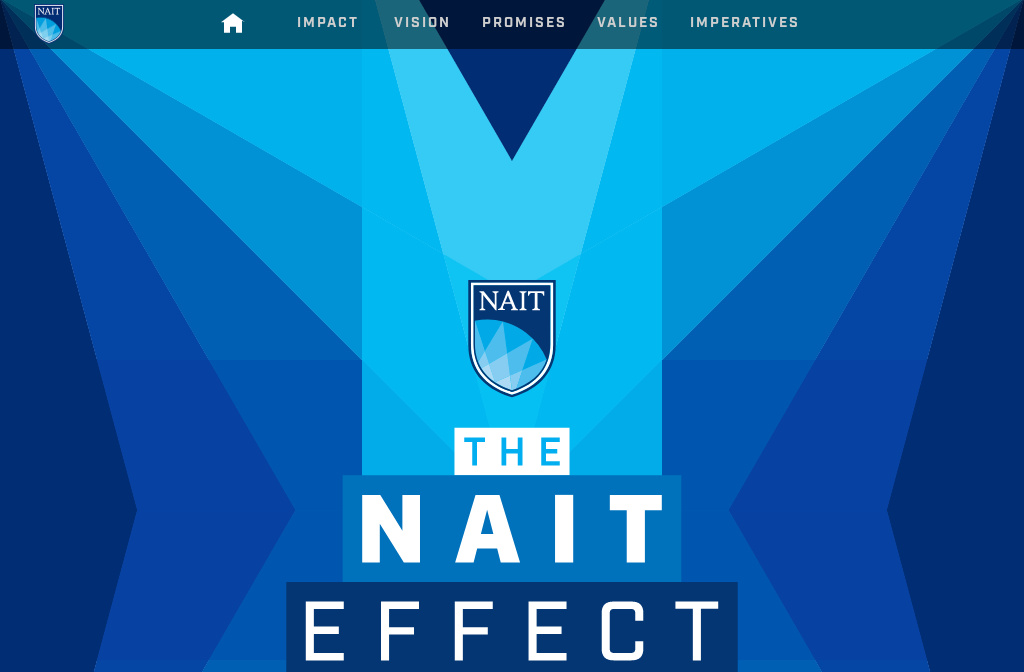 The NAIT Effect - Institutional Strategic Plan