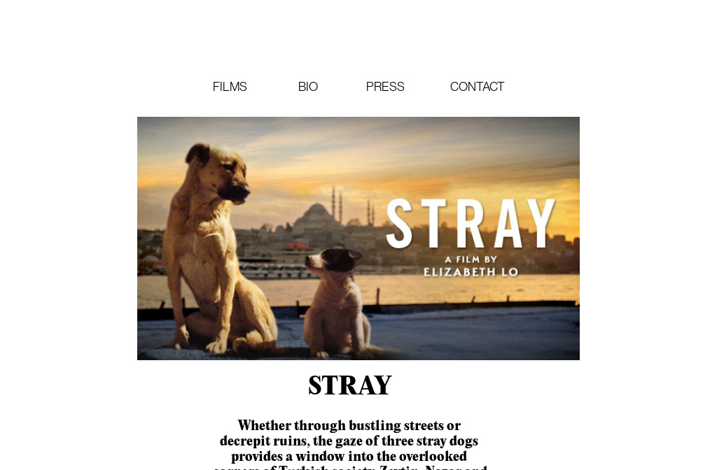 Elizabeth Lo — stray