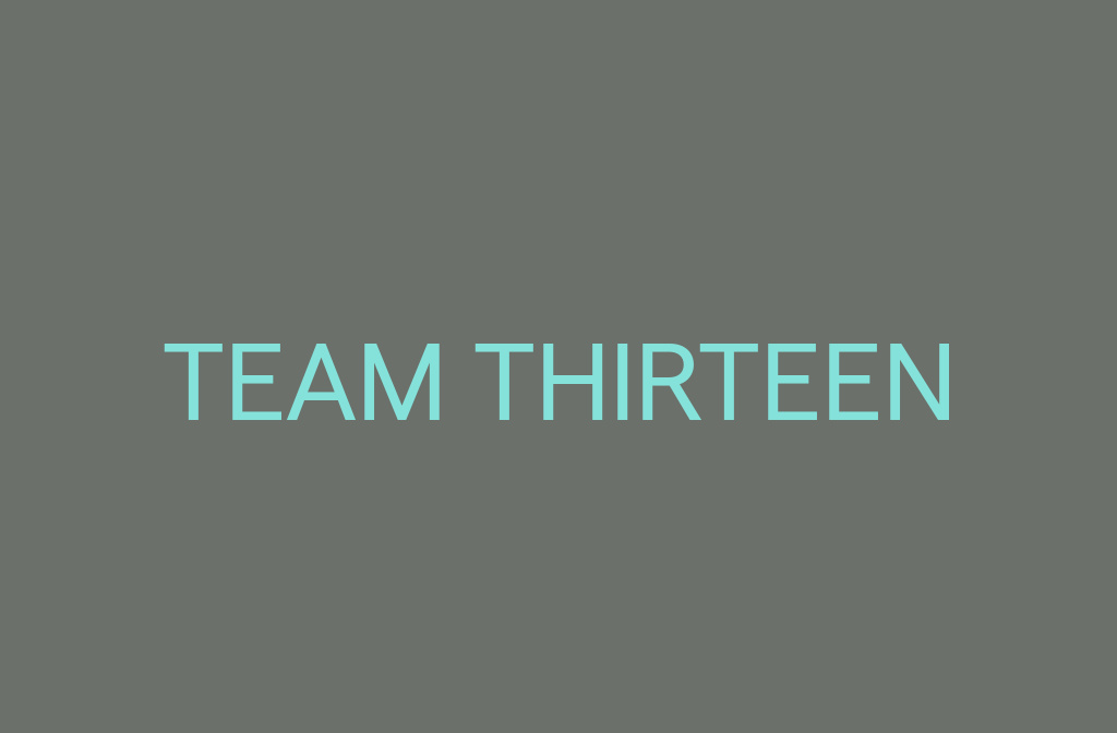 Team Thirteen