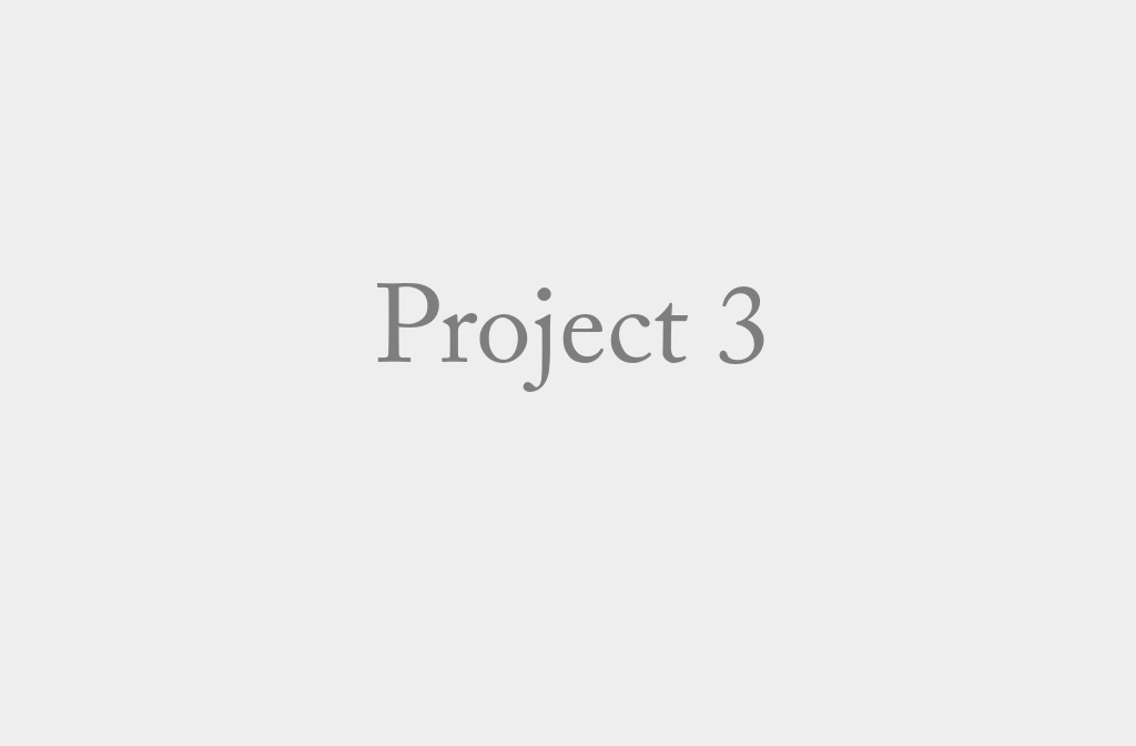 Project 3