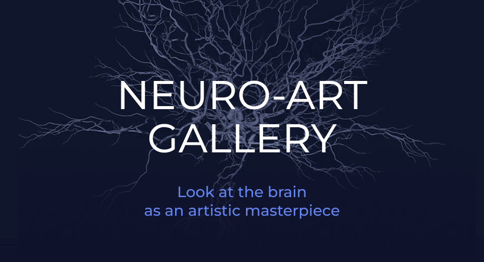 Neuro-art gallery — about