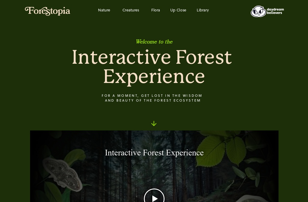 Forestopia Online Forest Experience — Virtual Forest